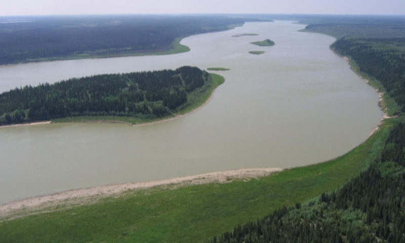 Lake Sturgeon in the KSNC Area – Kischi Sipi Namao (Nelson River ...